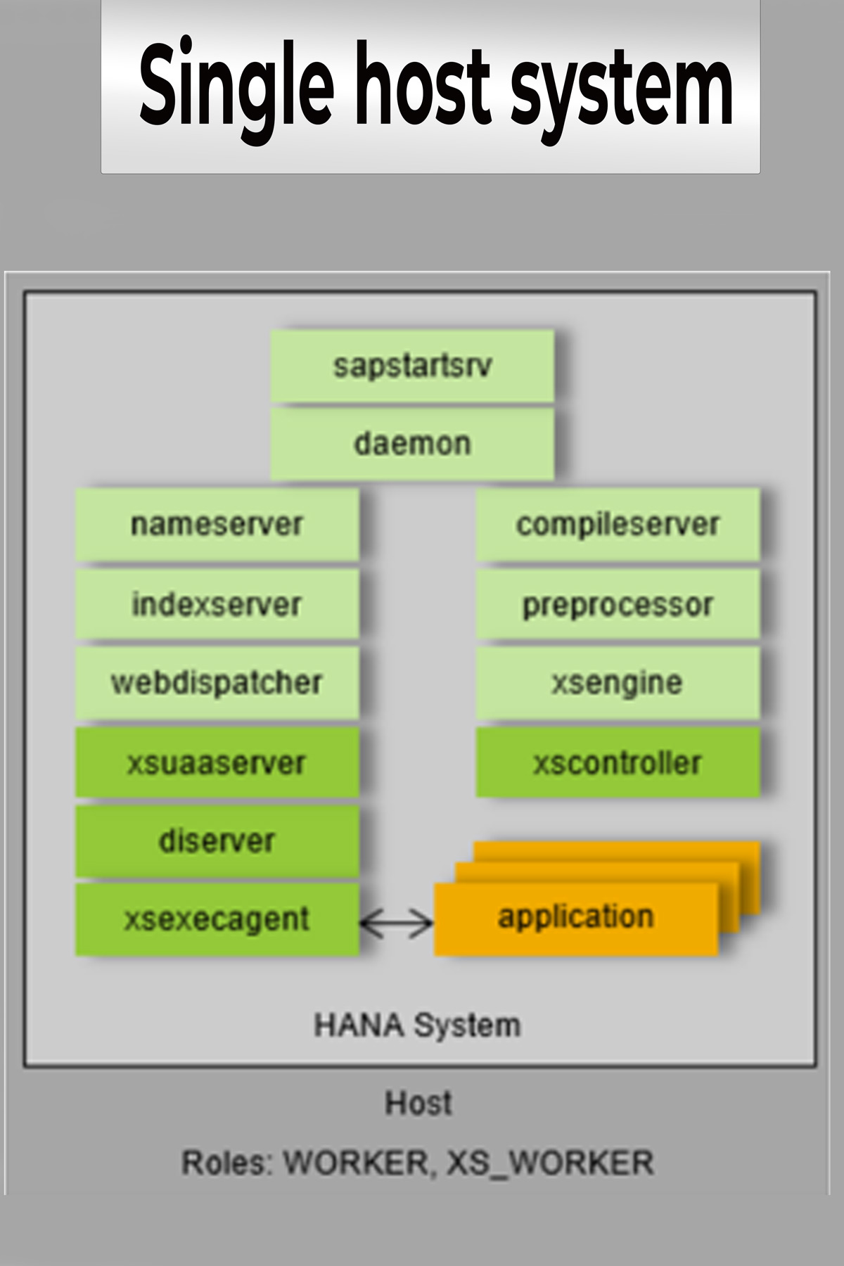 Case Study- SAP Implementation for Enterprise