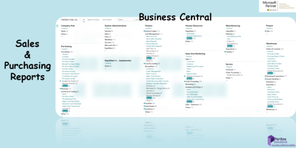 Business Central Purchase & Sales Reports