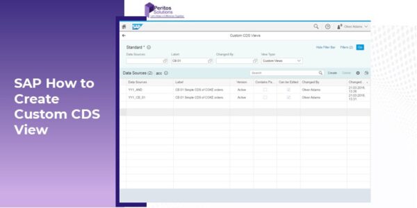 IT Consulting & Development | Custom Software, SAP, Microsoft