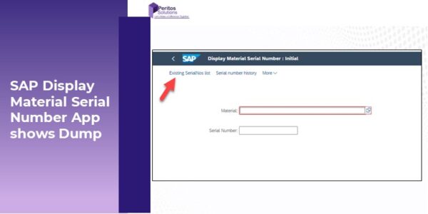 · IT Consulting & Development | Custom Software, SAP, Microsoft