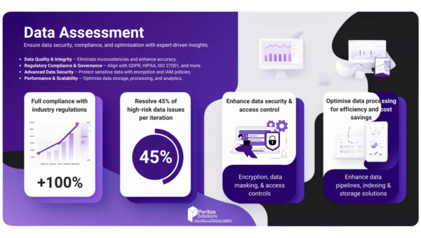 Data Assessment · IT Consulting & Development | Custom Software, SAP, Microsoft