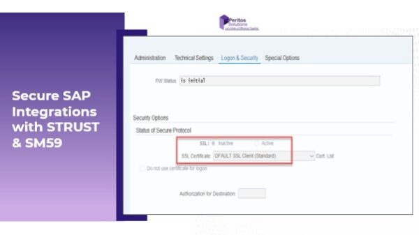Home · IT Consulting & Development | Custom Software, SAP, Microsoft