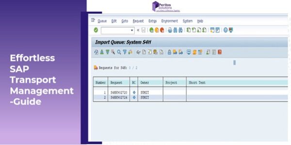 Home · IT Consulting & Development | Custom Software, SAP, Microsoft